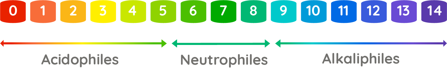 The pH, a major parameter for your microalgae cultures